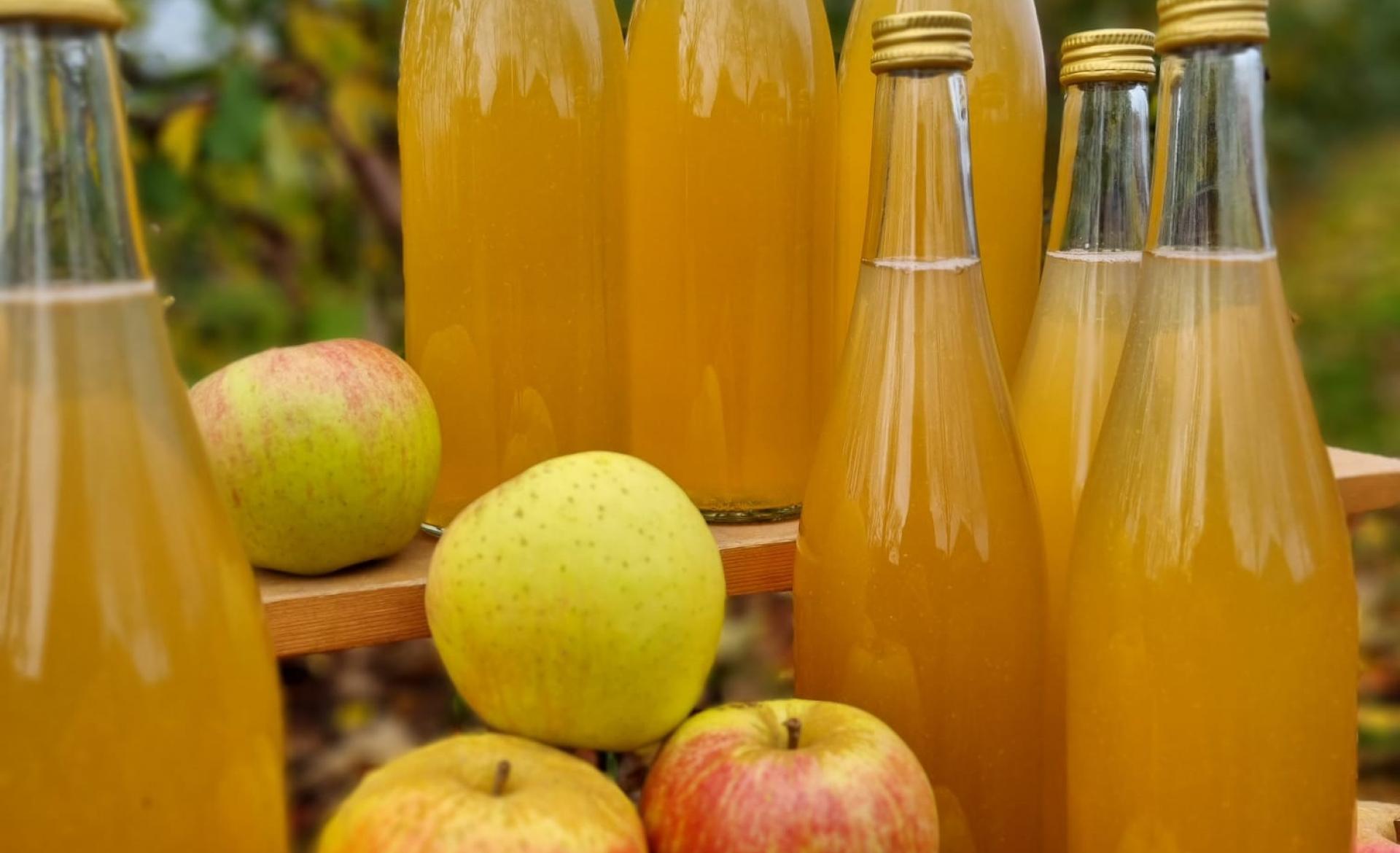Appels en peren inzameling - De Marwijkshof